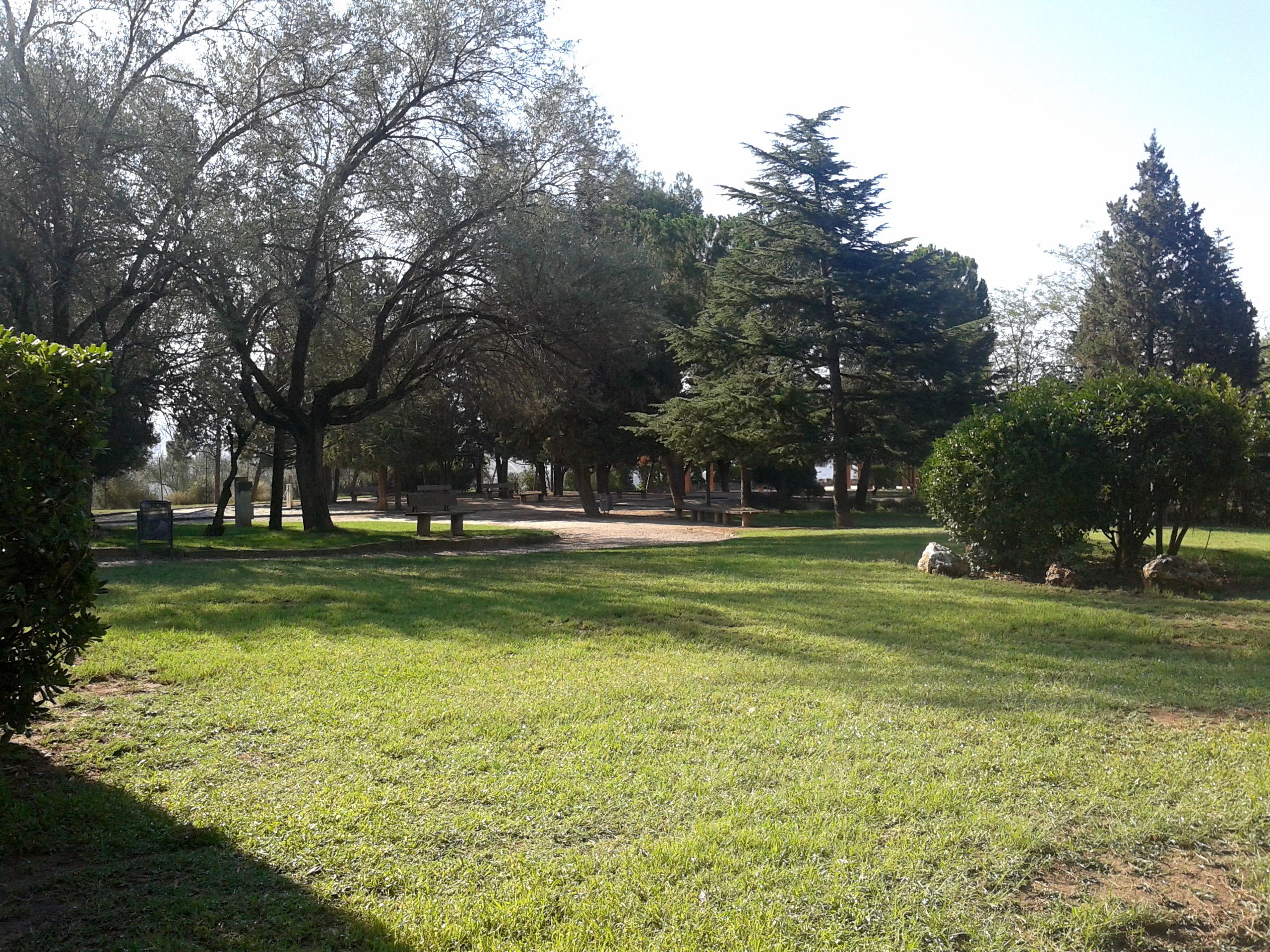 Descripción
